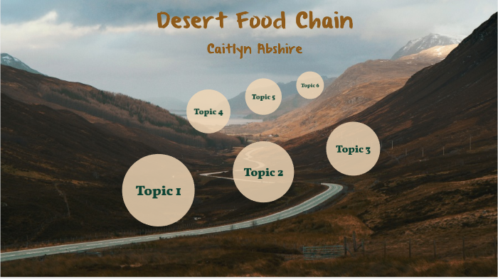 Caitlyn Abshire Sahara Desert Food Chain by Leslie Gossen on Prezi