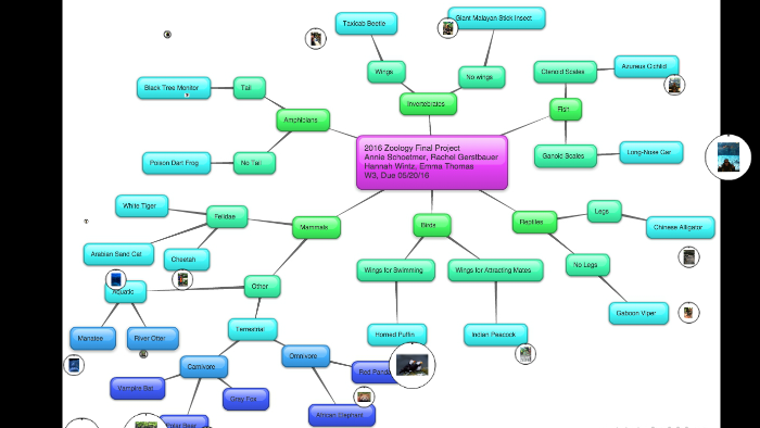 Final Zoology Concept Map- 2016 by annie schoetmer on Prezi