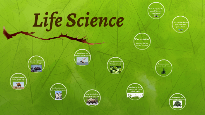 Life Science by Chloe Borg on Prezi
