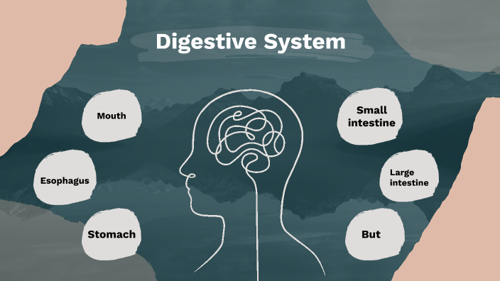 Introducing the digestive System by Ninja Plays on Prezi