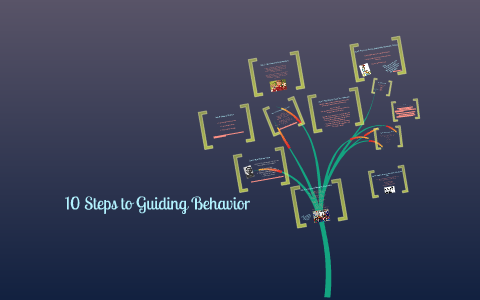 Ten Steps to Guiding Behavior by Karrah Janek on Prezi