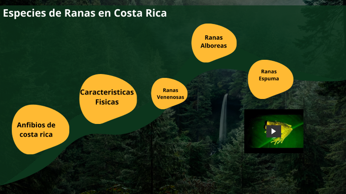 Las Especies de las ranas en Costa Rica by Thelma Elizondo Segura on Prezi