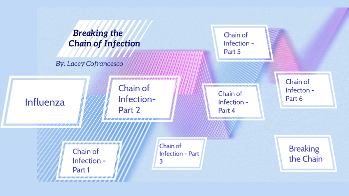 Breaking the Chain of Infection by Lacey Cofrancesco on Prezi