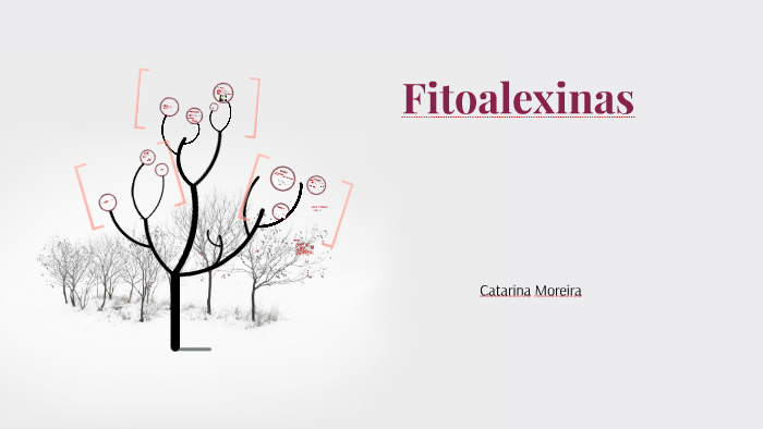 Fitoalexinas by andreia silva on Prezi