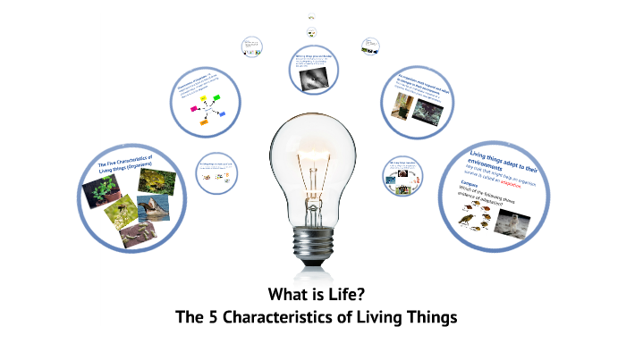 The 5 Characteristics of living things by Richard Sonnega on Prezi