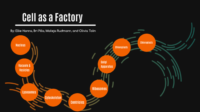 Cell as a Factory by Olivia Tolin on Prezi