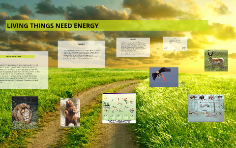LIVING THINGS NEED ENERGY by sydney byas on Prezi