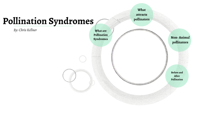 Pollination Syndromes-Dondit by Chris Kellner on Prezi