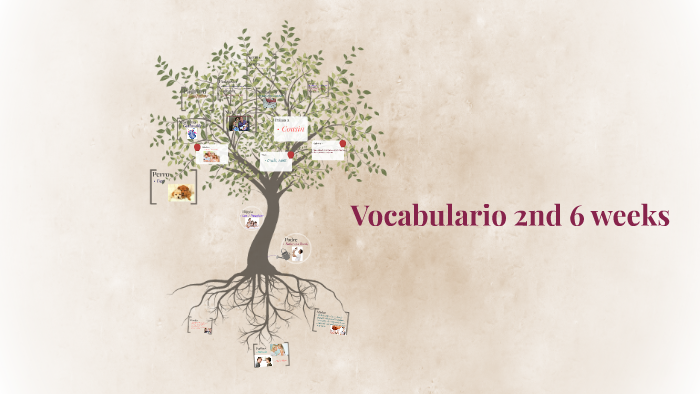 Vocabulario 2nd 6 weeks by Yadira Valle on Prezi