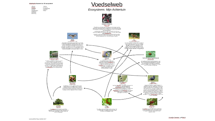 Voedselweb by Daantje Cremers on Prezi