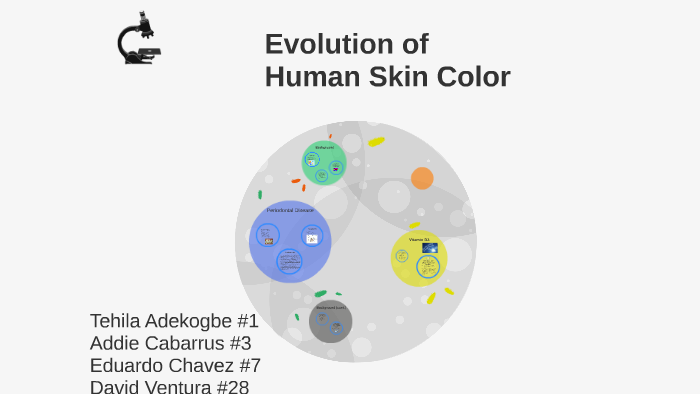 Evolution of Human Skin Color by david ventura
