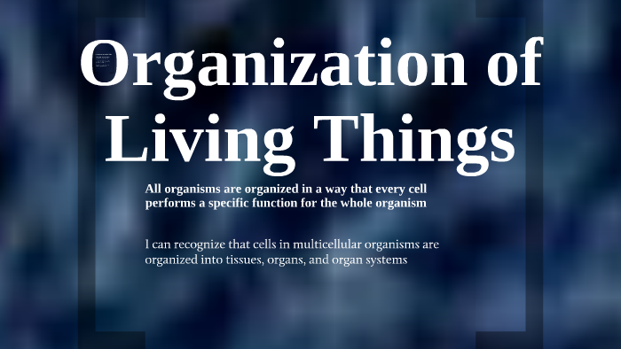 Levels of Organization by Greg Maday on Prezi
