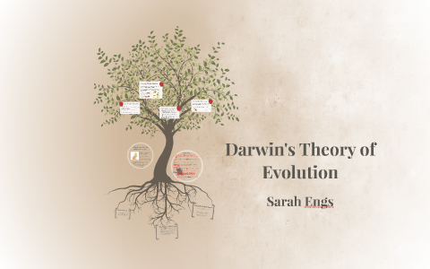 Darwin's Theory of Evolution by Sarah Engs on Prezi