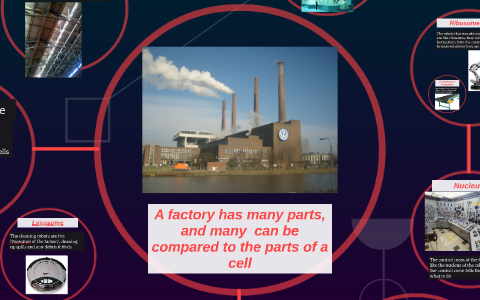 How a factory is like a cell by Jerry Lloyd on Prezi