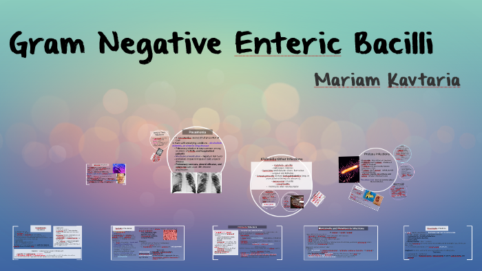 Gram Negative enteric Bacilli by mariam kavtaria on Prezi