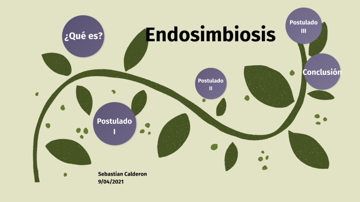 Teoría Endosimbiosis by Sebastian Calderon on Prezi