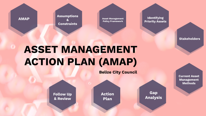 ASSET MANAGEMENT ACTION PLAN by Tamara Minto on Prezi