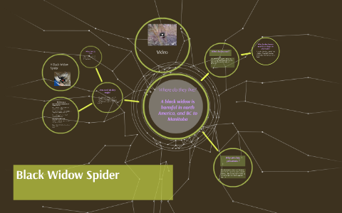 Were do they live by Kobe Schmidt on Prezi
