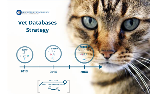 Vet Databases Strategy by Jos Olaerts on Prezi