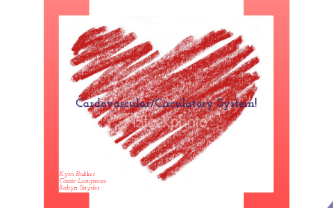 Circulatory/Cardiovascular System by Kyra Bakker on Prezi