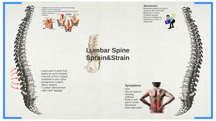Lumbar Spine Sprain&Strain by Kasandra Knappett on Prezi