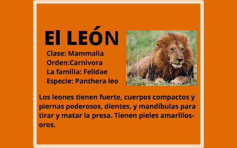 El leon (ramon) by Rahman Rouse on Prezi