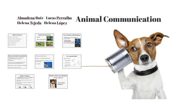 Differences between human and animal communication by Helena López on Prezi