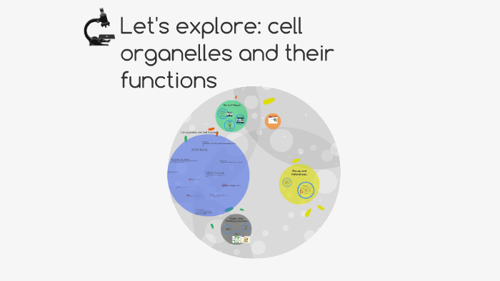 Let's explore: cell organelles and their functions by Rachel Gray on Prezi
