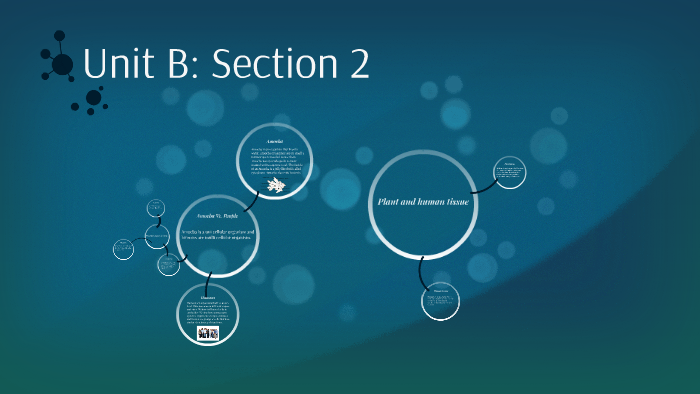 Unit B: Section 2 by jorja spratt on Prezi