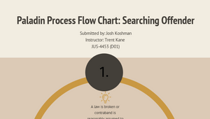 Paladin Process Flow Chart by Josh Koshman on Prezi Design