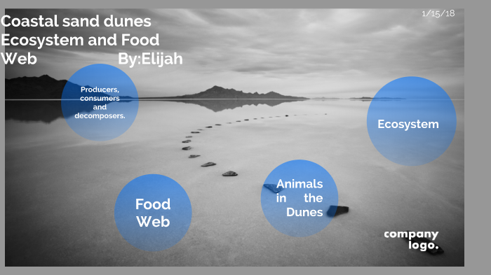 Coastal sand dunes Ecosystem and Food Web by Elijah Culbertson on Prezi