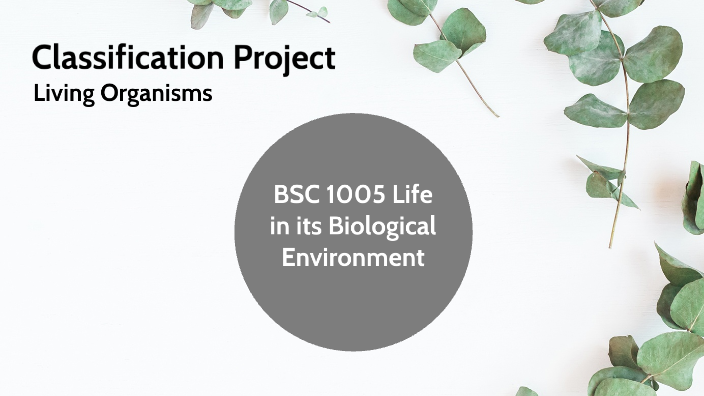 Biology Classification Project by Kurk Peters on Prezi