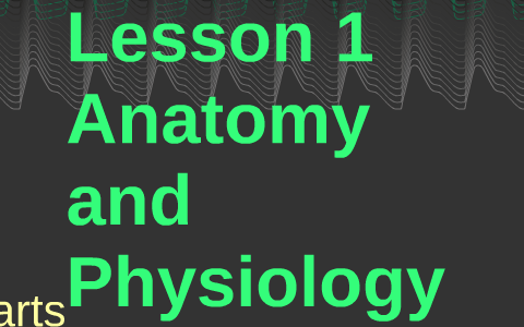 Lesson 1 Introduction to Unit 5; Anatomy and Physiology by Matt Rutter ...