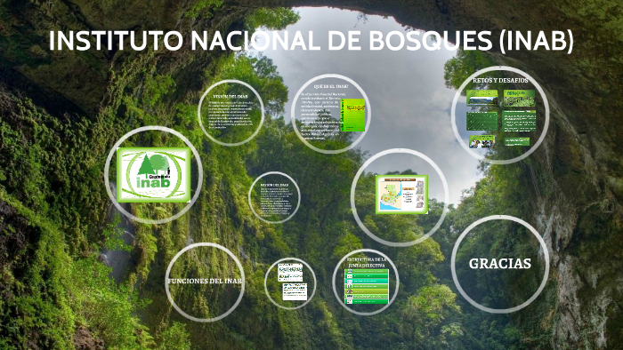 INSTITUTO NACIONAL DE BOSQUES INAB by on Prezi
