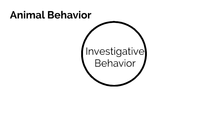 Investigative Behavior by theo ardinger on Prezi