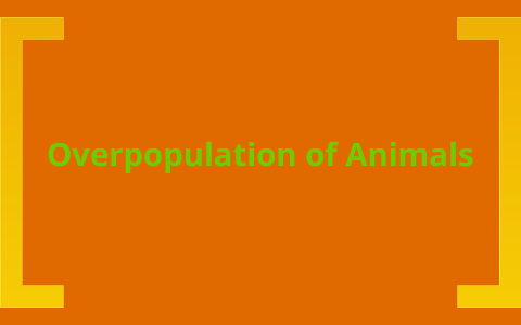 Overpopulation of Animals by Karson Walker on Prezi