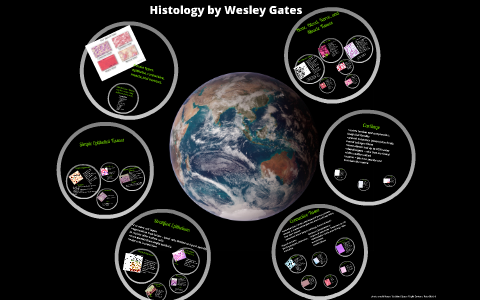 Histology by Wesley Gates by James Gates on Prezi