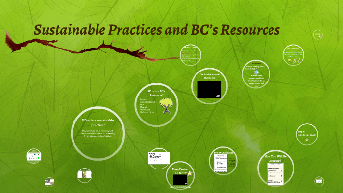 Sustainable Practices around BC’s Resources by Megan Alanna Strachan on ...