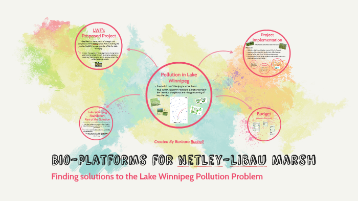 Bio-Platforms for Netley-Libau Marsh: Finding Solutions to the Lake ...