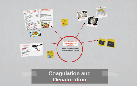 Coagulation and Denaturation by emily kan on Prezi