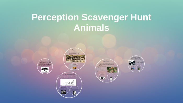 Perception Scavenger Hunt by Marisol Parra on Prezi