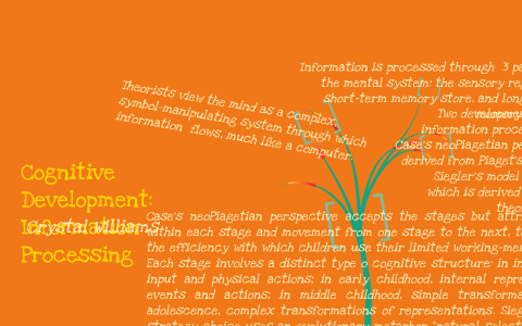Cognitive Development: Information Processing by Crystal Williams on Prezi
