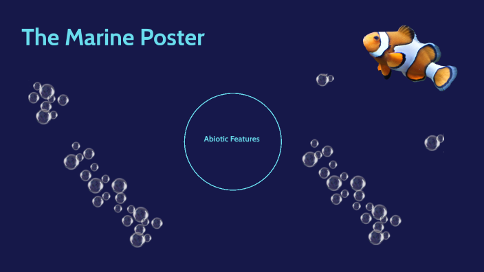 The Marine Poster by Ethan Schafer on Prezi
