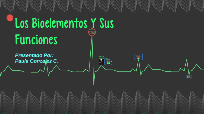 Los Bioelementos Y Sus Funciones by Paula Gonzalez on Prezi