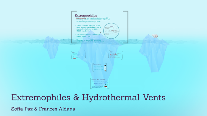 Marine Science - Extremophiles & Hydrothermal Vents by Sofia Paz