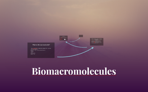 Biomacromolecules by Megan Hildebrand on Prezi