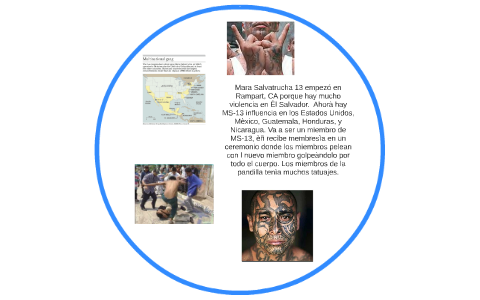 Vive y Muerte en la Mara Salvatrucha 13 by Carrington Kennelly on Prezi