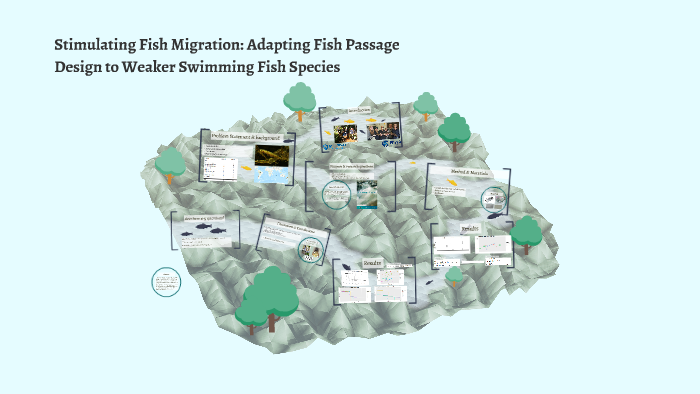 Stimulating Fish Migration: Adapting Fish Passage Design to by Dana Nolte