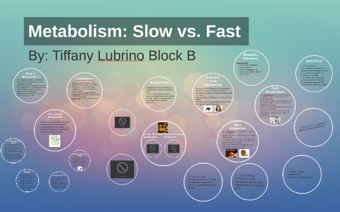 Metabolism: Slow vs. Fast by Tiffany Lubrino on Prezi