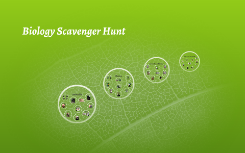Biology Scavenger Hunt by Sydney Kauffman on Prezi
